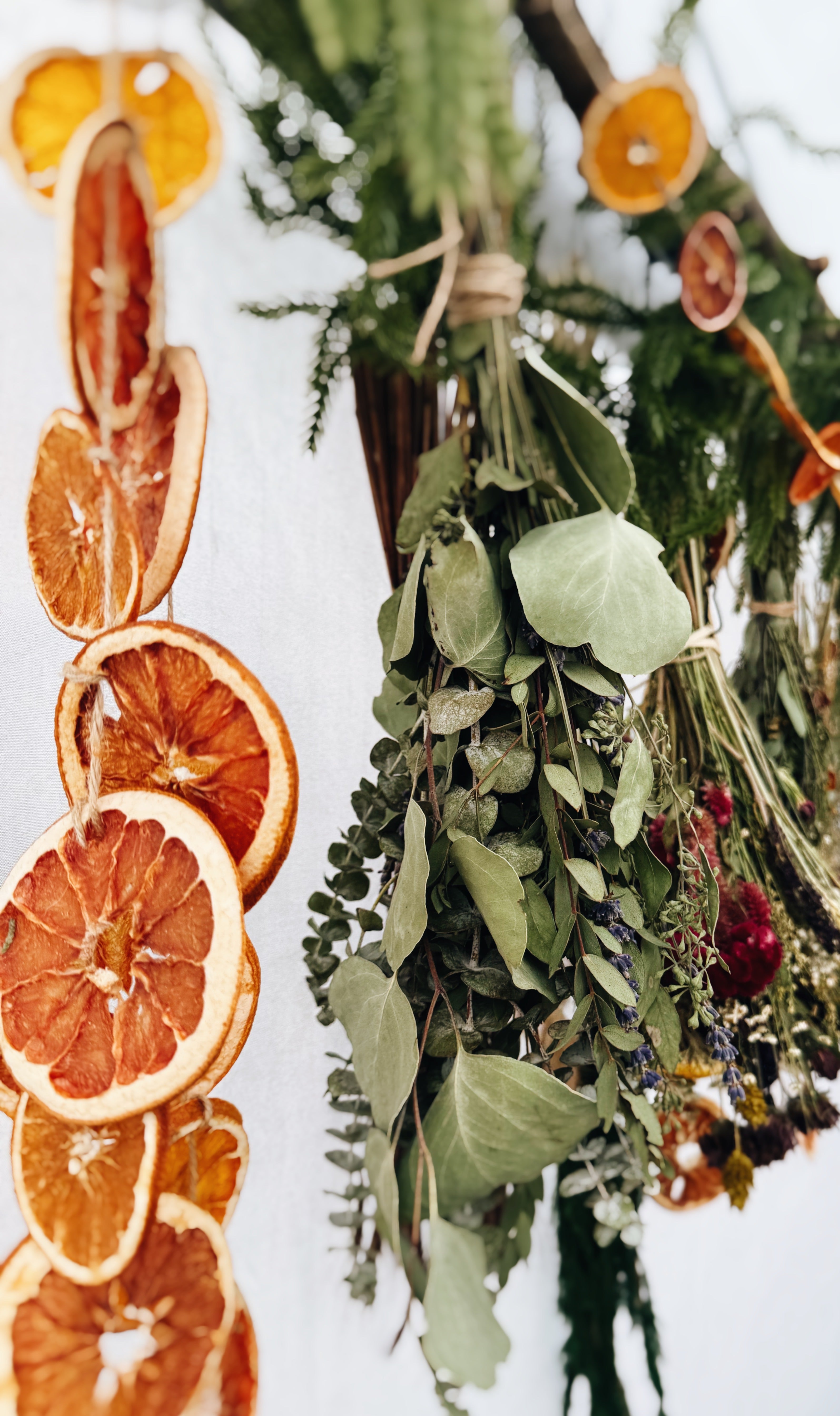 Dried Citrus Garlands – The Red Deer Apothecary UT